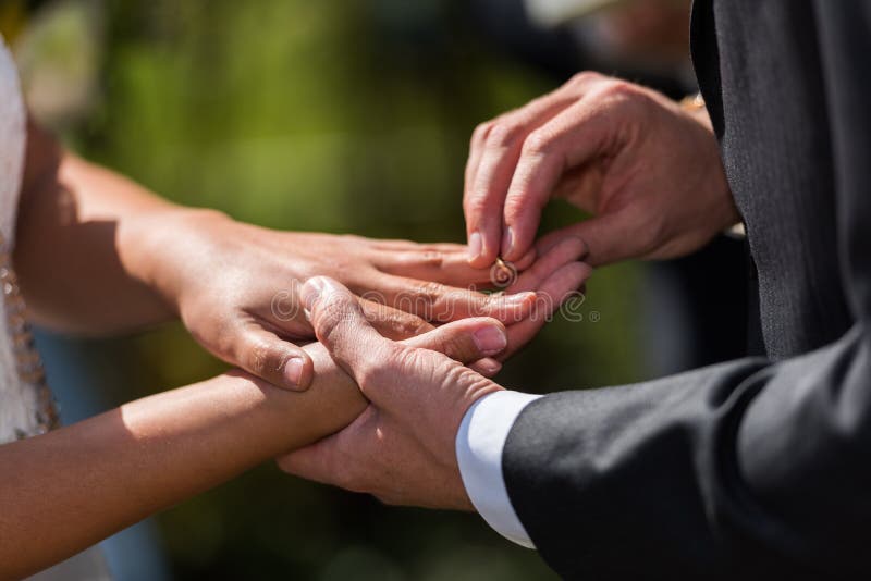 Rings exchange stock photo. Image of matrimony, exchange - 91226182