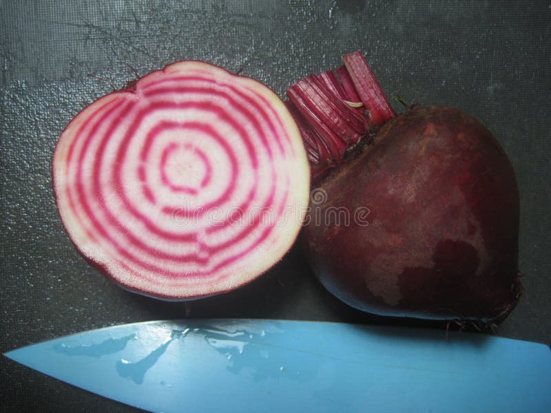 Rings of Fire - Chioggia Beets Stock Image - Image of salad, garden ...