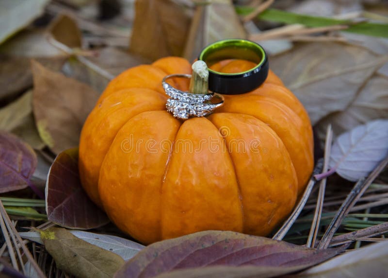 Rings on pumpkin stock photo. Image of leaf, rings, festive - 140618722