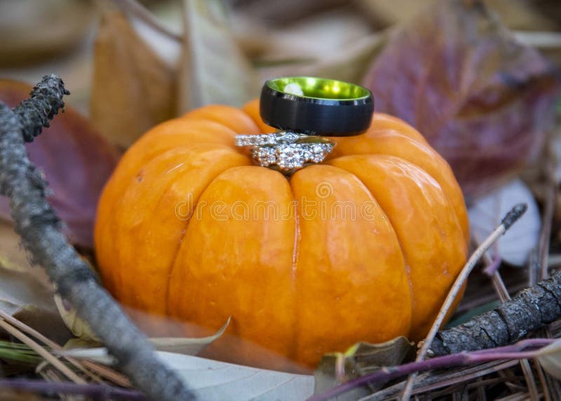 Rings on pumpkin stock image. Image of festive, jewlery - 140618717