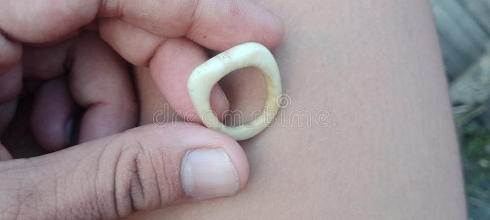 Rings from Rare Animal Bones Stock Photo - Image of boness, animal ...