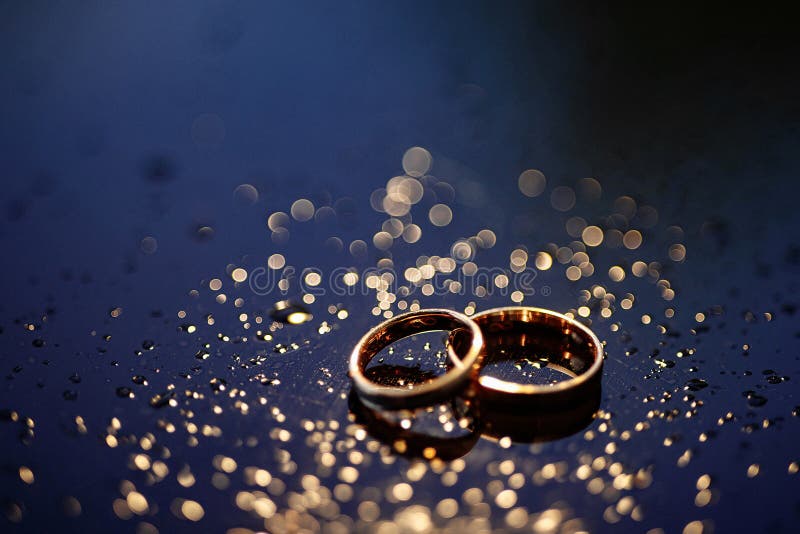 Two Gold Wedding Rings Lie on a Dark Wet Surface Stock Image - Image of ...