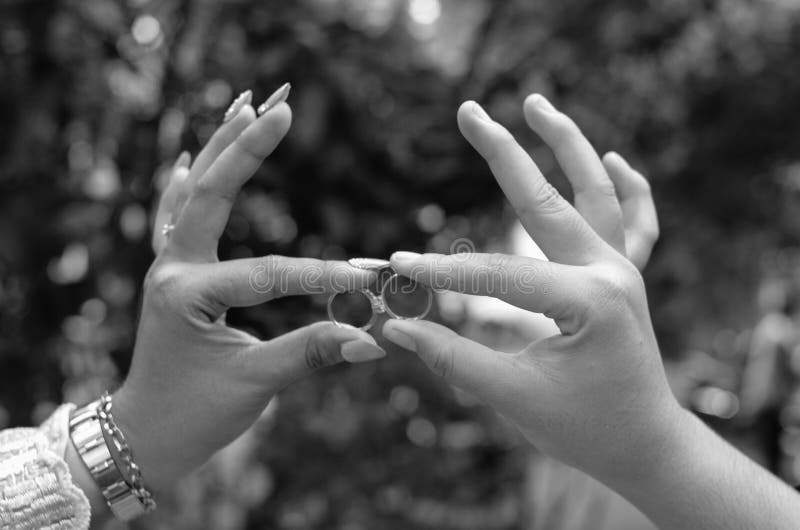 The rings stock photo. Image of wedding, holds, together - 209645818