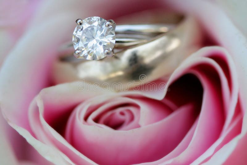 Rings and rose stock photo. Image of diamond, wedding - 4108970