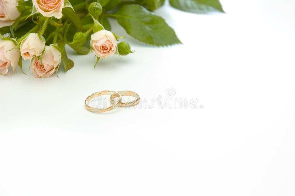 Rings and roses stock photo. Image of commit, oath, joining - 1051828