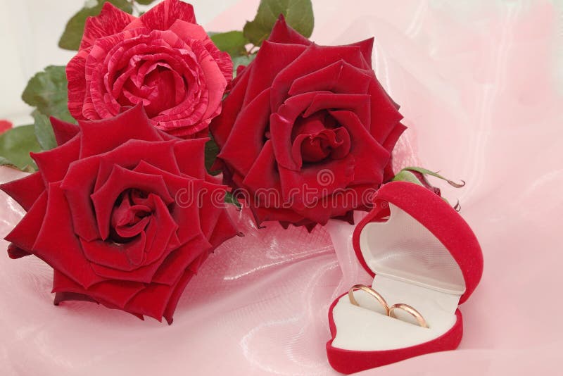Rings and roses stock photo. Image of bridal, gift, invitation - 22654360