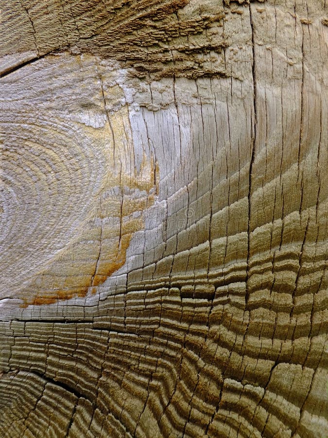 Rings and Striations stock photo. Image of striations - 45755712