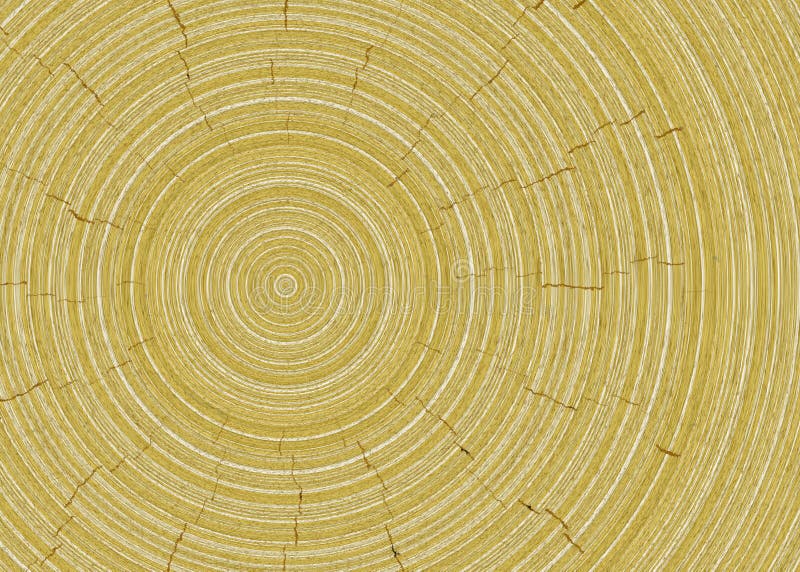 Rings of Tree Cut Wood Texture Backgrounds Stock Image - Image of ...
