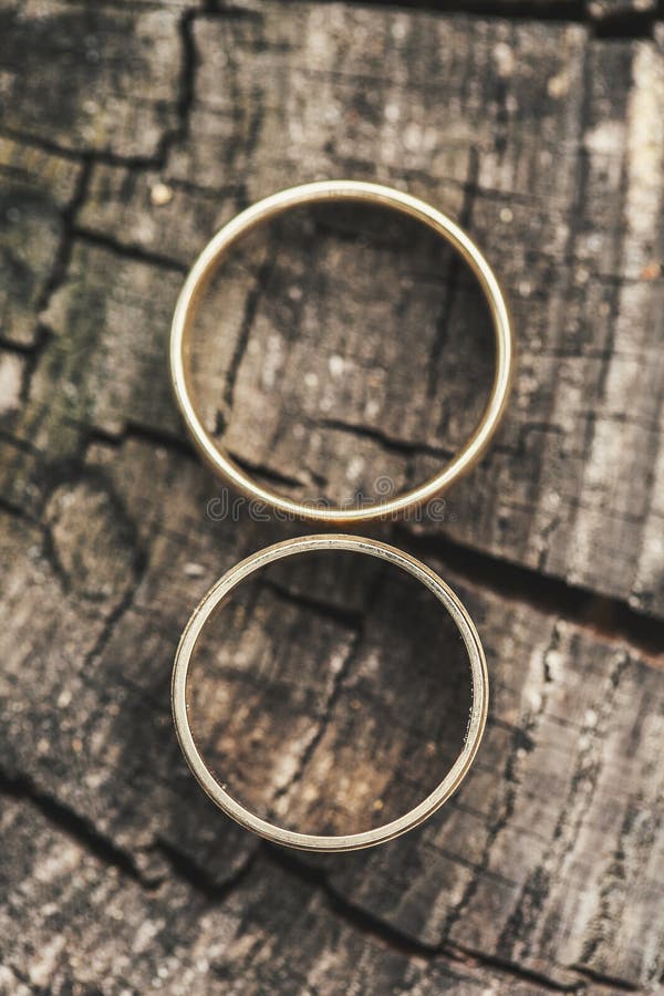 Rings on a tree stock photo. Image of design, cohabitation - 52293724