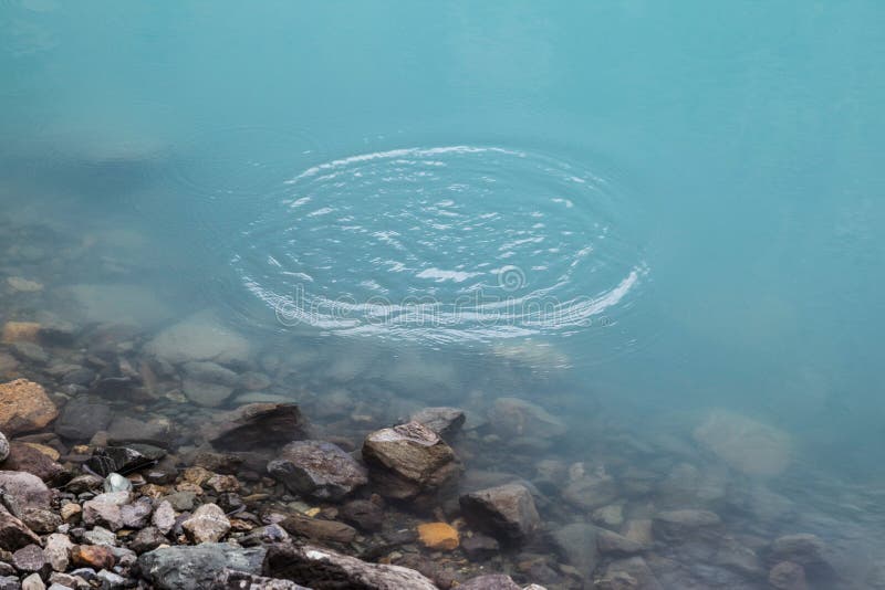 Rings on water stock photo. Image of branch, clarity - 49535046