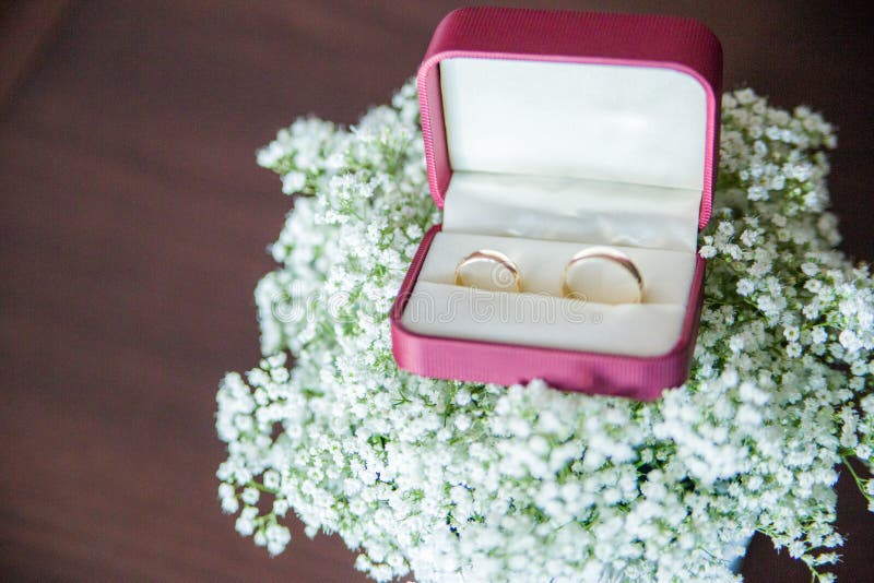 Rings stock photo. Image of roser, forever, pink, symbols - 65621408