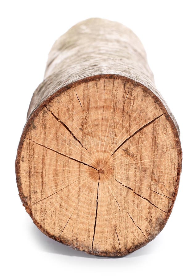 Rings on wooden log stock image. Image of tree, frame - 224213321