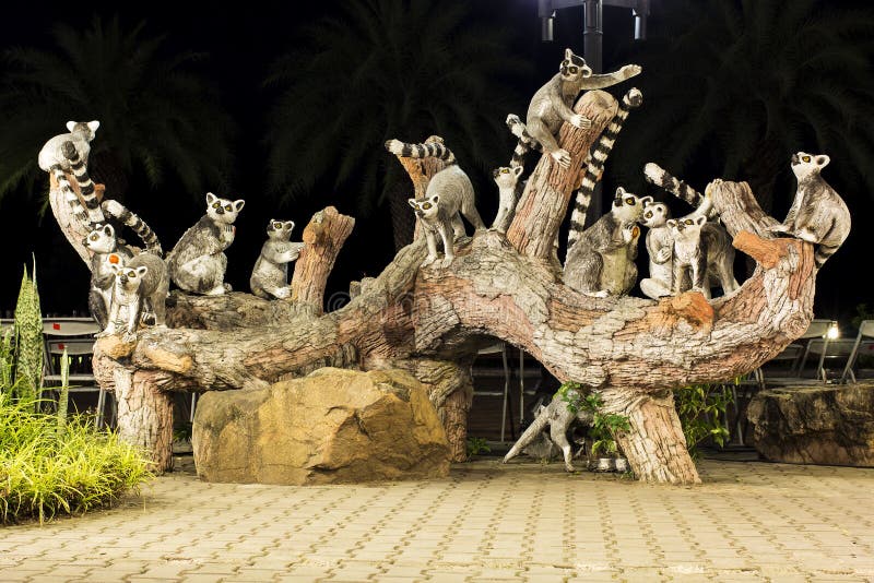 Ringtailed lemurs statue stock photo. Image of safari - 47721926