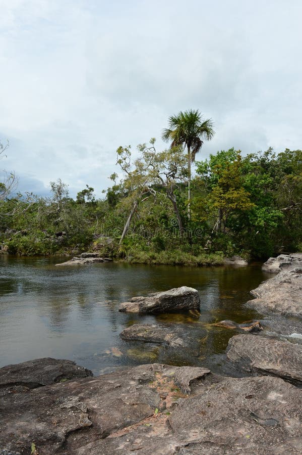 Rio Canio Cristales Da Montanha Colômbia Imagem de Stock - Imagem de ...