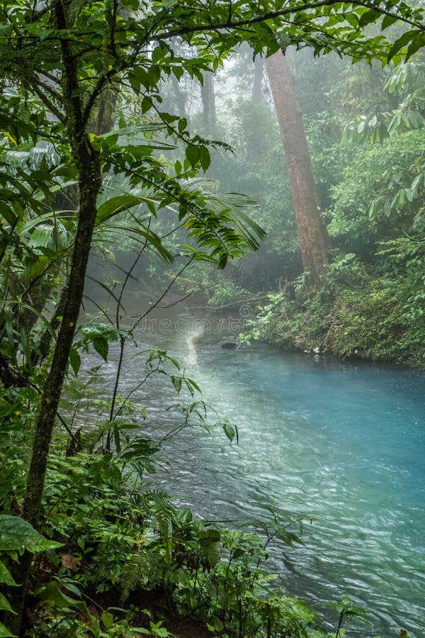 Rio Celeste Blue Acid Water, Costa Rica Stock Image - Image of blue ...