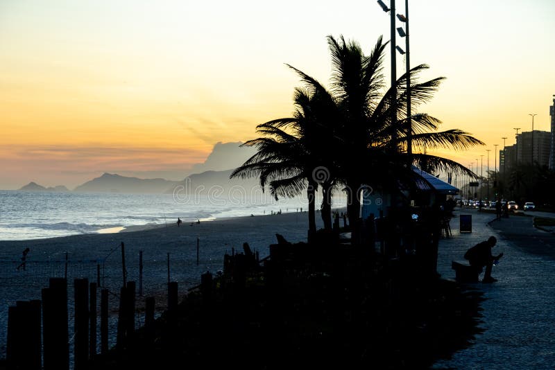 Rio De Janeiro Beach at Sunset. Silhouettes of Palm Trees Stock Image ...