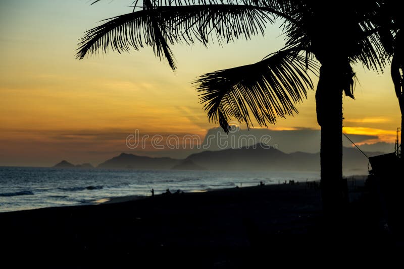 Rio De Janeiro Beach at Sunset. Silhouettes of Palm Trees Stock Image ...
