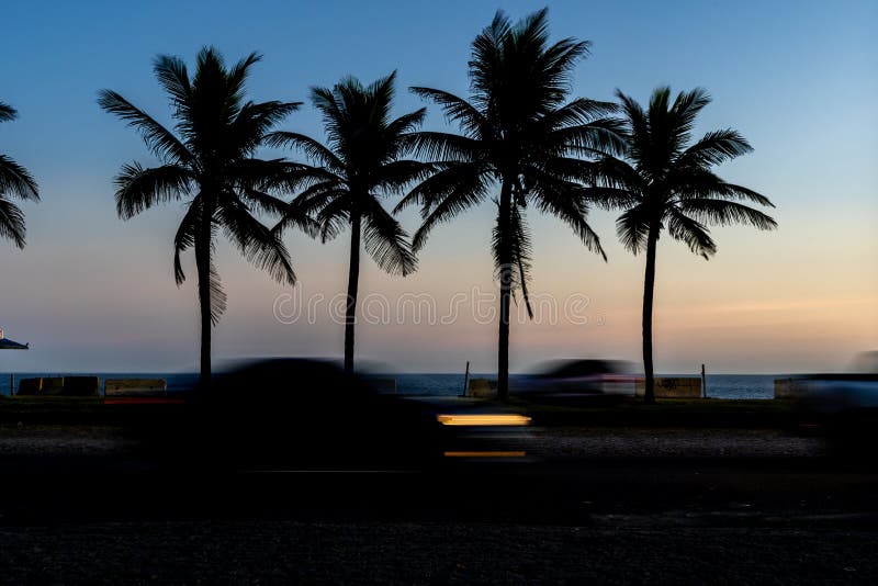 Rio De Janeiro Beach at Sunset. Silhouettes of Palm Trees Stock Image ...