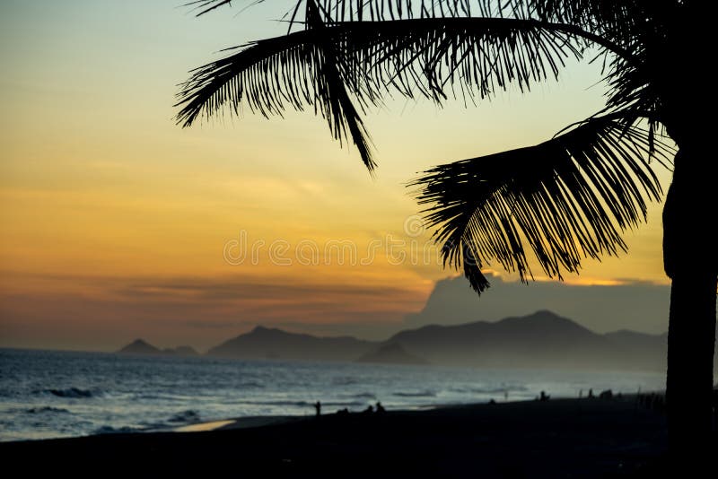 Rio De Janeiro Beach at Sunset. Silhouettes of Palm Trees Stock Photo ...