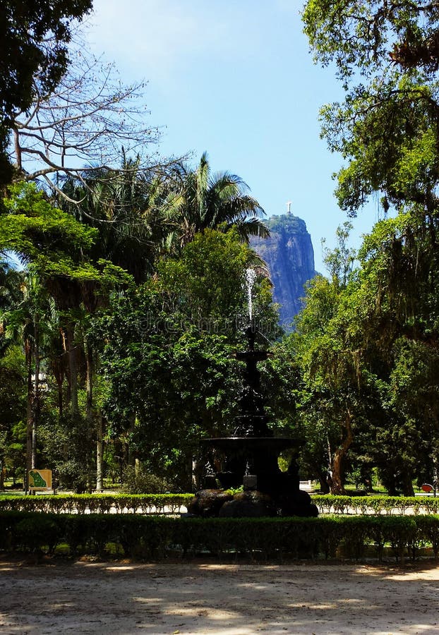 Rio De Janeiro, Brazil - 10.31.2014 - Inside of a National Park of ...