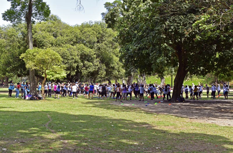 People Practicing Physical Activity on Public Park, Rio Editorial Stock ...