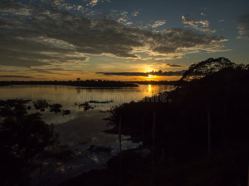 Rio de Javari imagem de stock. Imagem de litoral, paisagem - 85626029