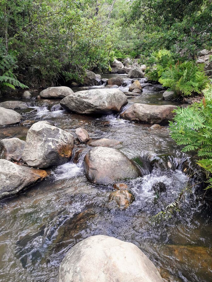 Rio de la miel stock photo. Image of poza, miel, lentas - 151031912