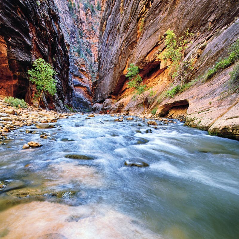 Rio Do Virgin Em Zion National Park Foto de Stock - Imagem de nave ...