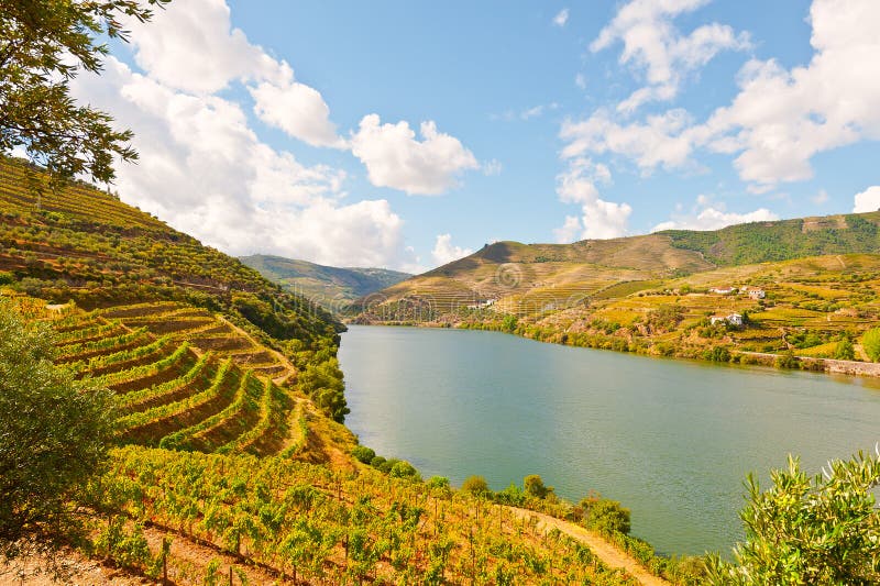Rio Douro imagem de stock. Imagem de sunset, verde, linha - 101852769