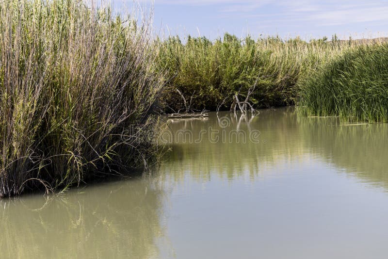 Rio Grande Natural Border, Texas Stock Image - Image of mountain ...