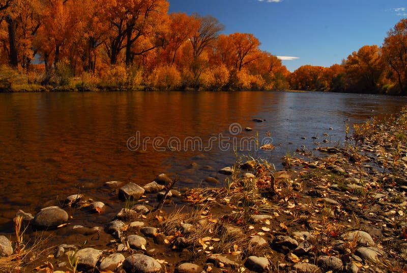 Rio Grande River stock image. Image of trees, fall, ecosystem - 4119189