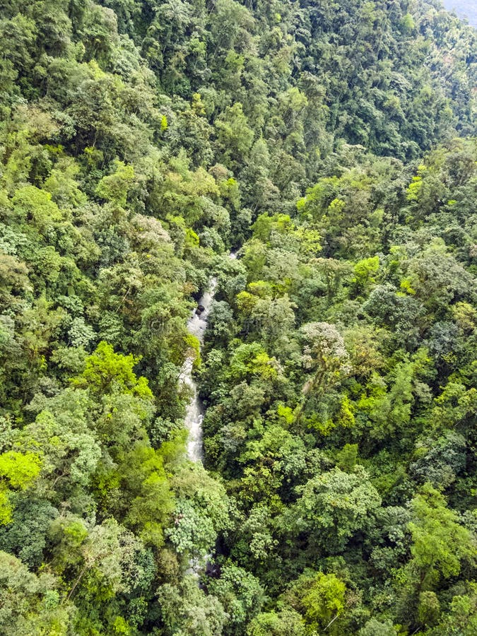 Rio Mindo, Western Ecuador, River Stock Photo - Image of scenic ...