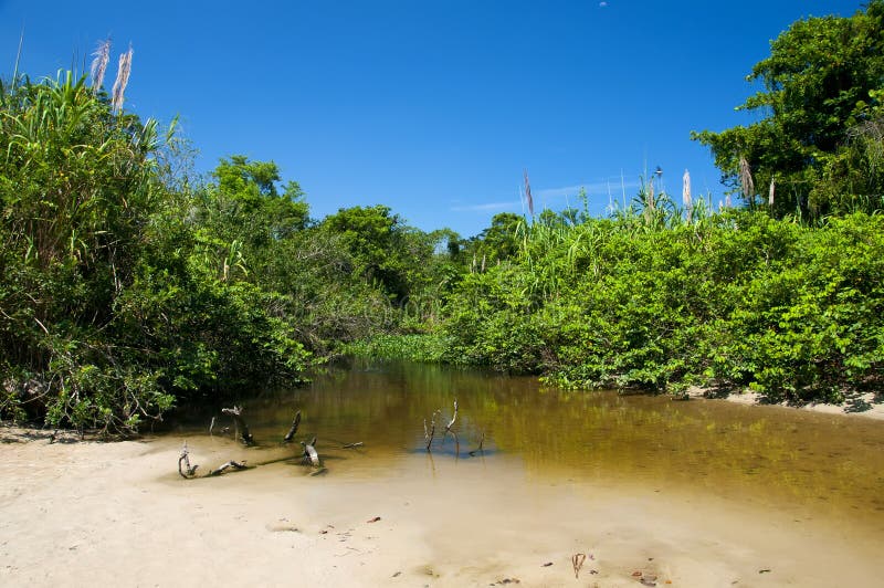 Rio na praia imagem de stock. Imagem de litoral, pesca - 28541979