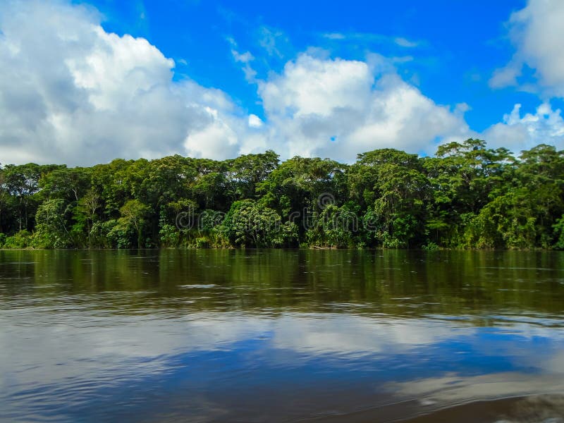 Bridge in Coca, Napo River,Ecuador S Amazon Basin Editorial Stock Photo ...