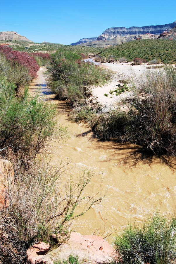 Rio o Arizona do Virgin imagem de stock. Imagem de escalar - 19559413