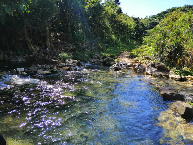 Raso Fotos De Stock - Baixe 214,679 Fotos Royalty Free