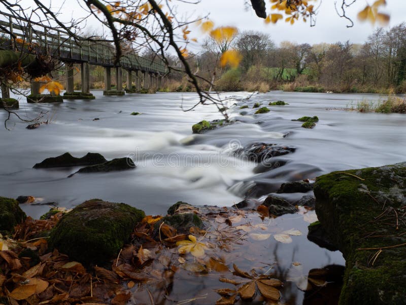 Rio Shannon Foot Bridge foto de stock. Imagem de velho - 131887230