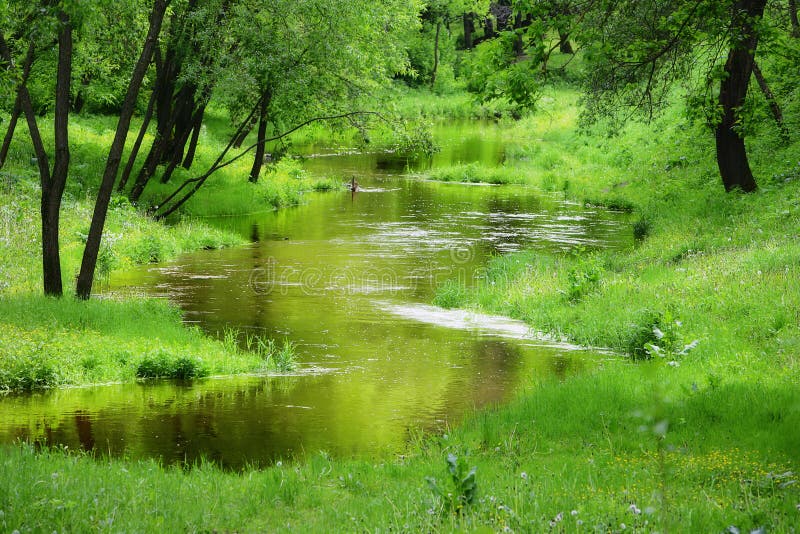 Rio tranquilo pequeno foto de stock. Imagem de descanso - 14252230