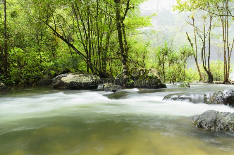 Rio tropical na selva imagem de stock. Imagem de puro - 30853869