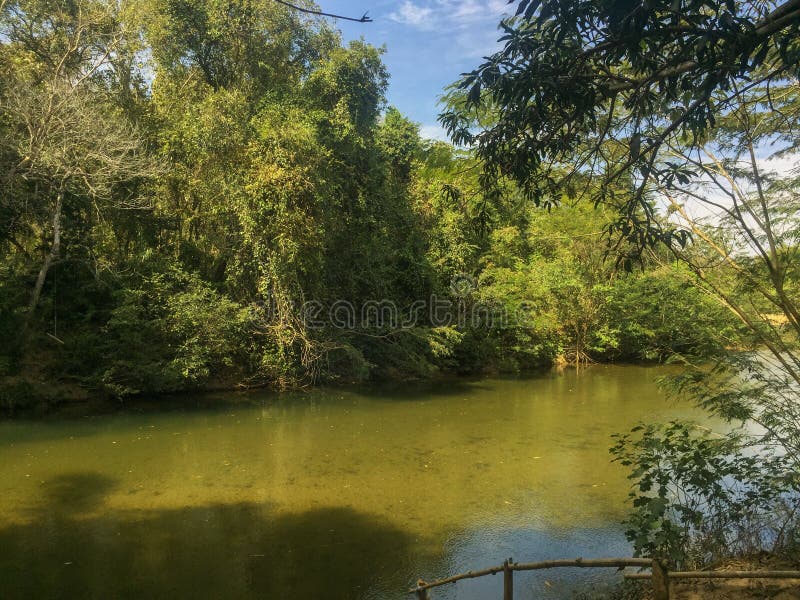 Rio verde stock photo. Image of green, natureza, verde - 156780422