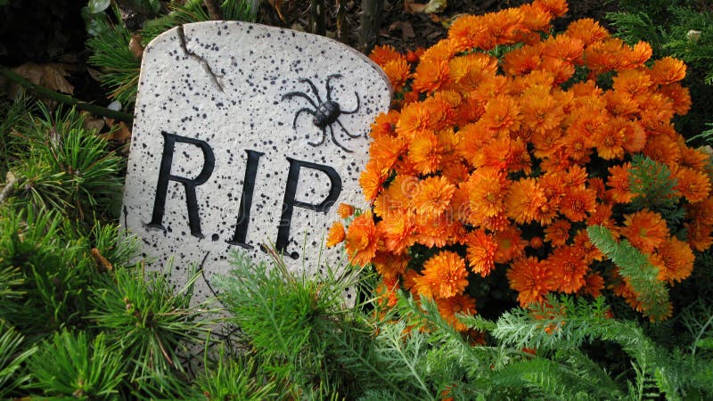 636 Spider Tombstone Stock Photos - Free & Royalty-Free Stock Photos ...