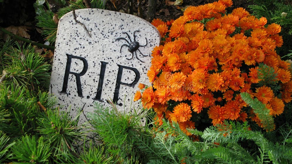 1,441 Rip Flower Stock Photos - Free & Royalty-Free Stock Photos from ...