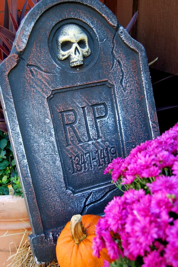 35,636 Rip Fotos - Kostenlose und Royalty-Free Stock-Fotos von Dreamstime