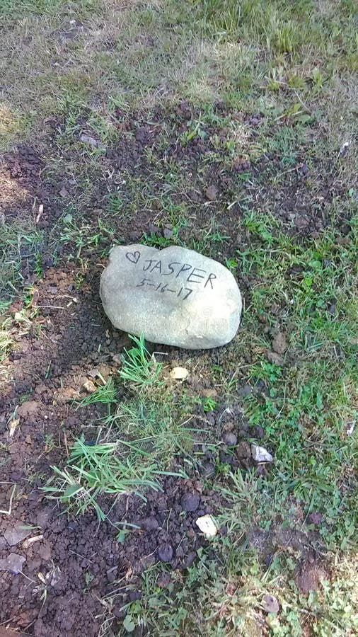 Rip cat jasper stock photo. Image of super, jasper - 119608428