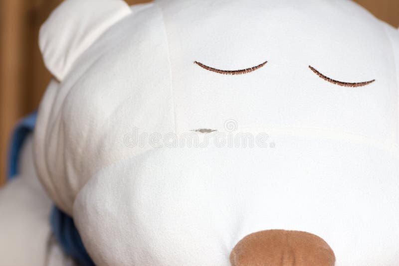 A Rip on the Face of a Stuffed Bear Stock Image - Image of broken, cute ...