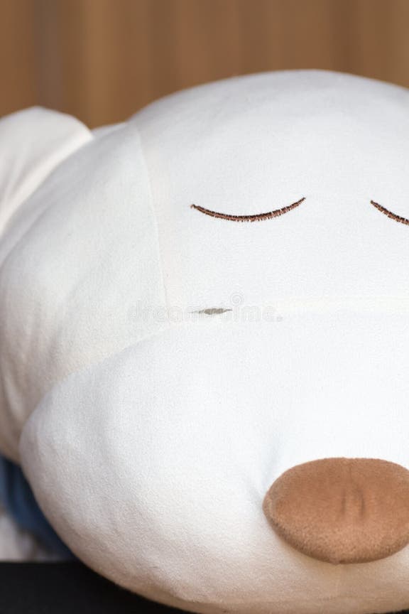 A Rip on the Face of a Stuffed Bear Stock Photo - Image of torn ...