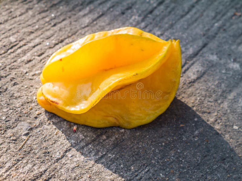 The rip fruit apple stock image. Image of tasty, yellow - 36741895