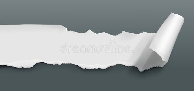 Rip Paper Page Curl with Torn Edge Vector Sheet Stock Illustration ...