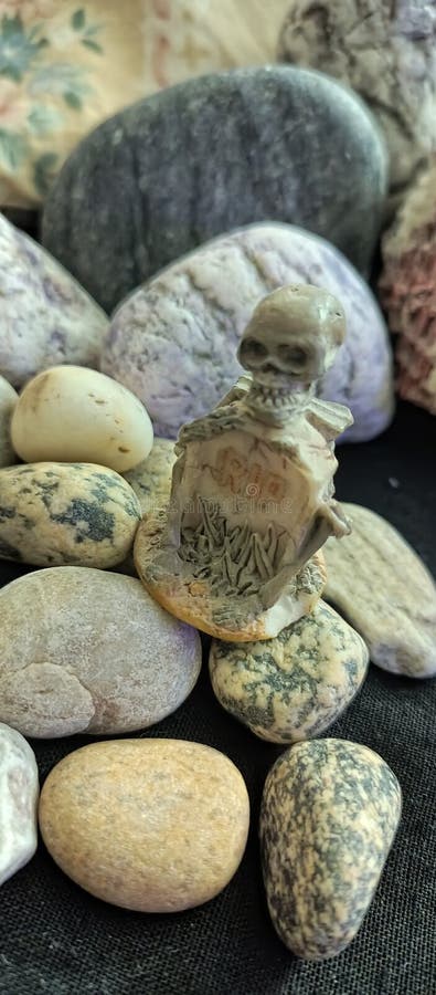 RIP skeleton Rock close-up stock photo. Image of plant - 270985754