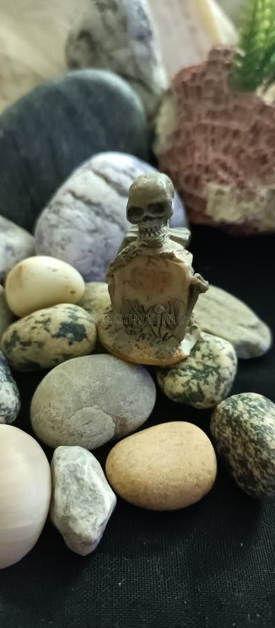 RIP skeleton Rock close-up stock image. Image of water - 270985763